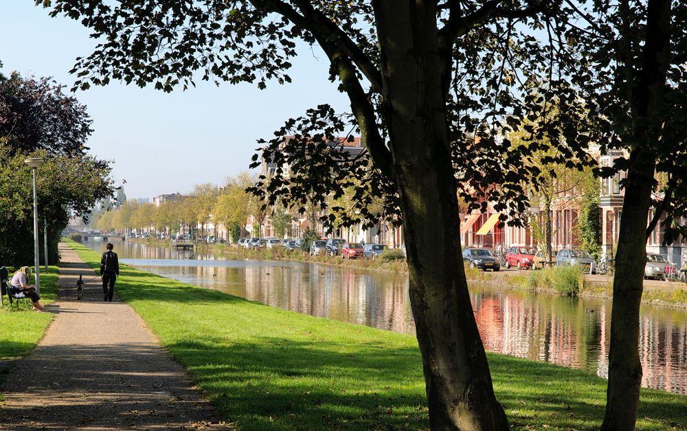 Ringdijk - Eigen Haard
